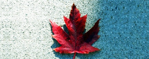 Fall Forward: 40 of the best new fall arrivals – Part I